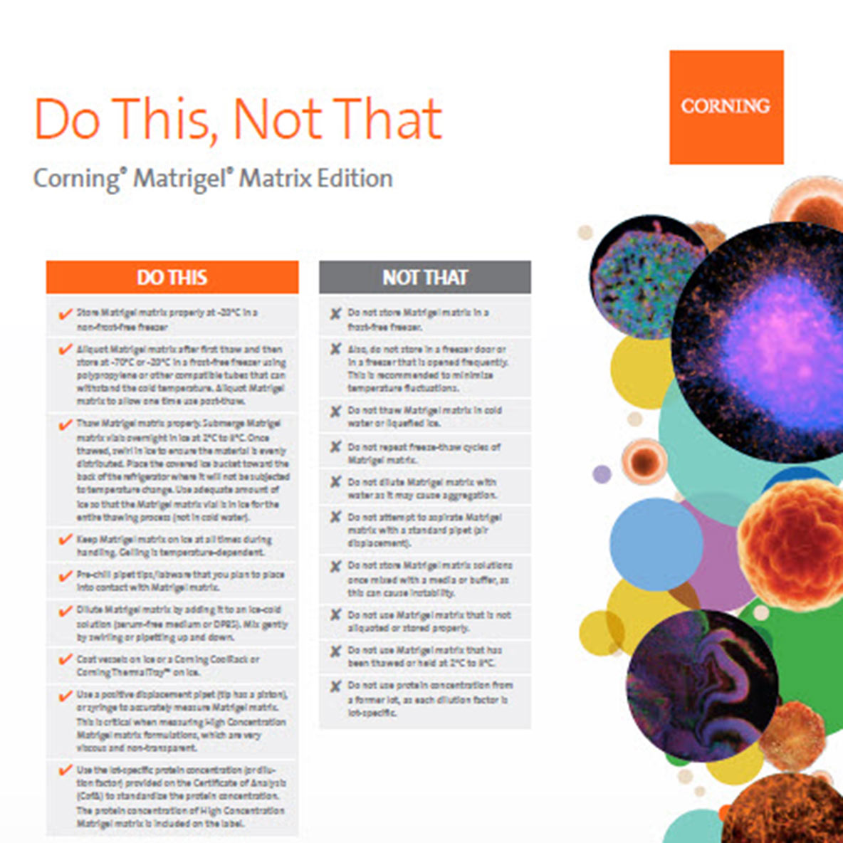 康宁®Matrigel®Matrix终极指南|生命科学|