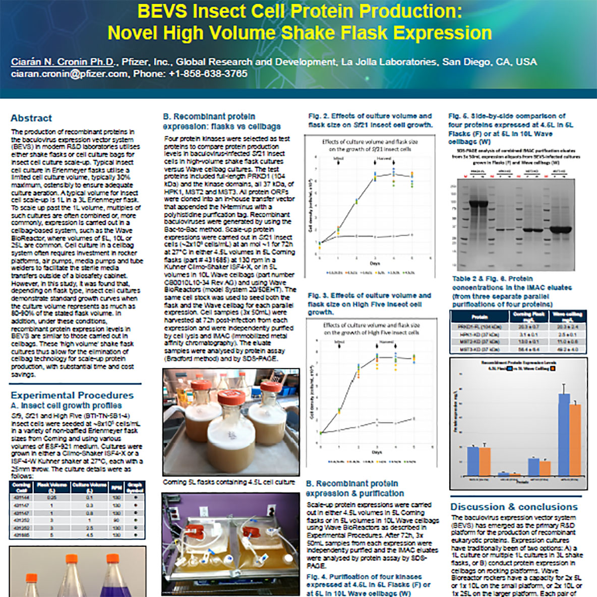 Poster: Cost Efficient R&D Scale-up for Insect Cell Recombinant Protein ...